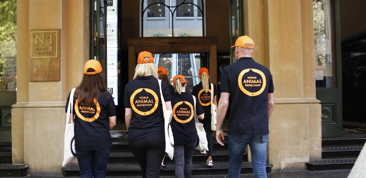 Our Team | World Animal Protection